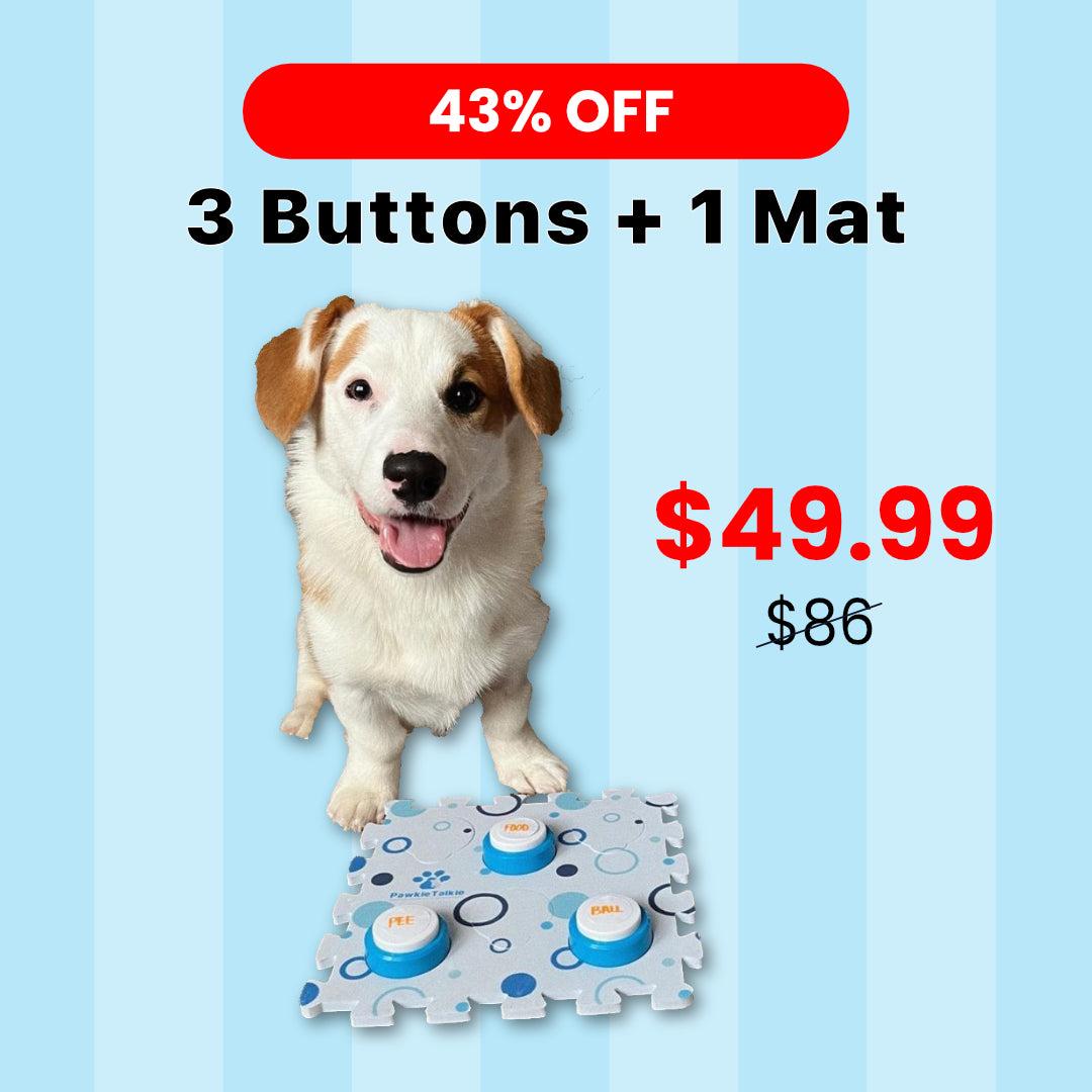 Best Luxury Dog & Cat Talking Buttons by PawkieTalkie